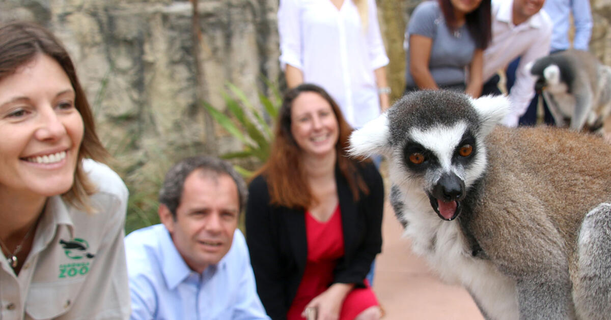Teachers' Day at Taronga | Taronga Conservation Society Australia